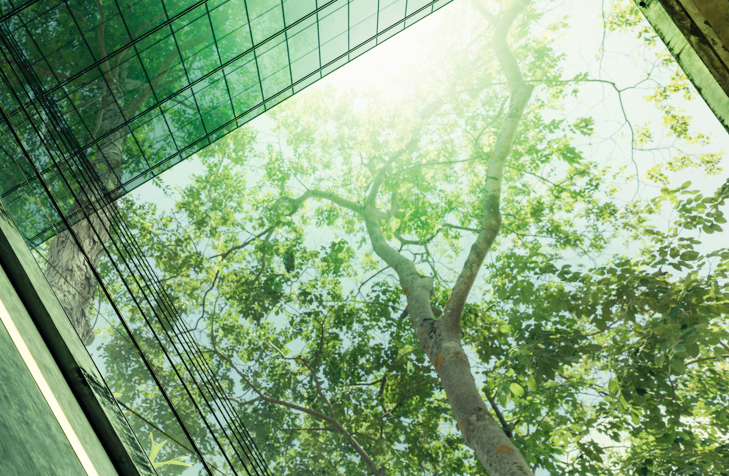 GreenAssist - Ecclesiastical Insurance